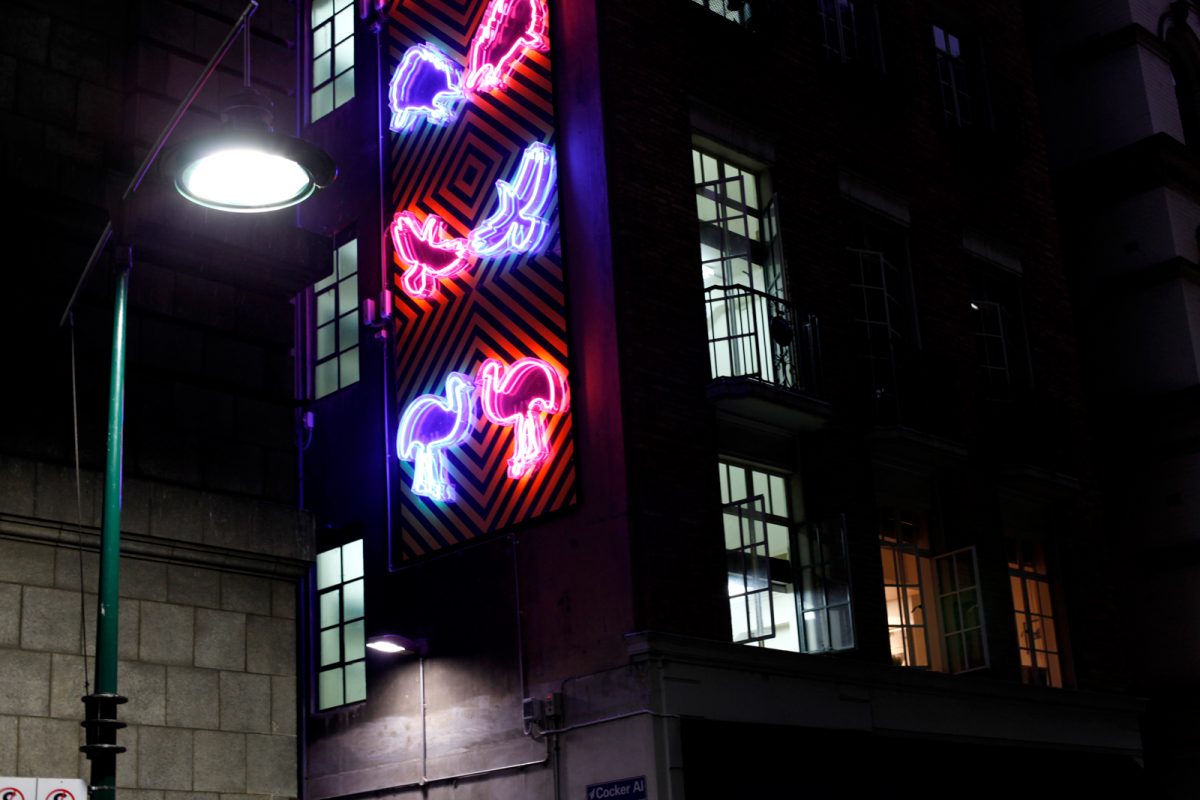 Emlyn and Gabby: cook, work, parties, people | Assemble Papers