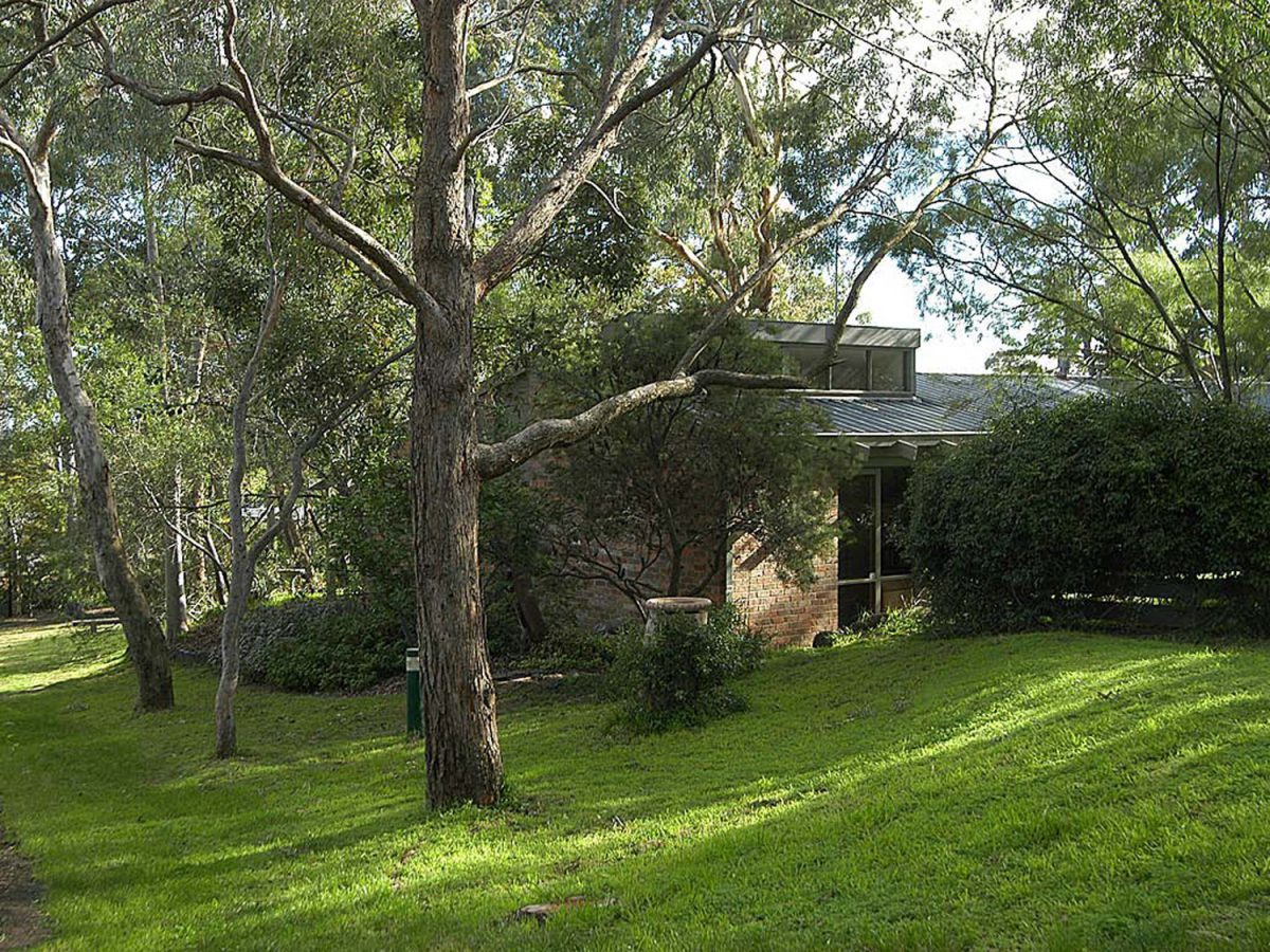 Winter Park: Suburban Nature | Assemble Papers