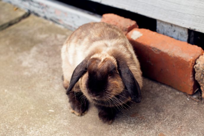 Eugene Howard sees potential in fallen wood | Assemble Papers