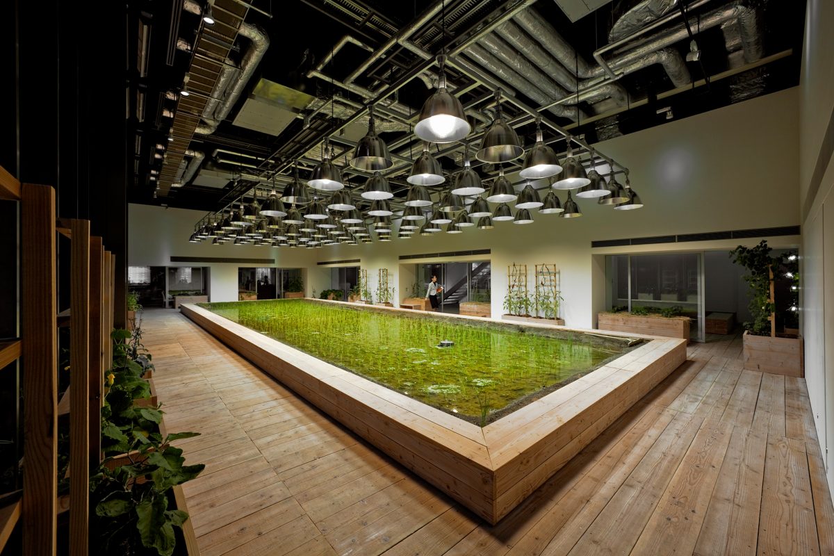 Pasona brings agriculture to the city in Tokyo | Assemble Papers