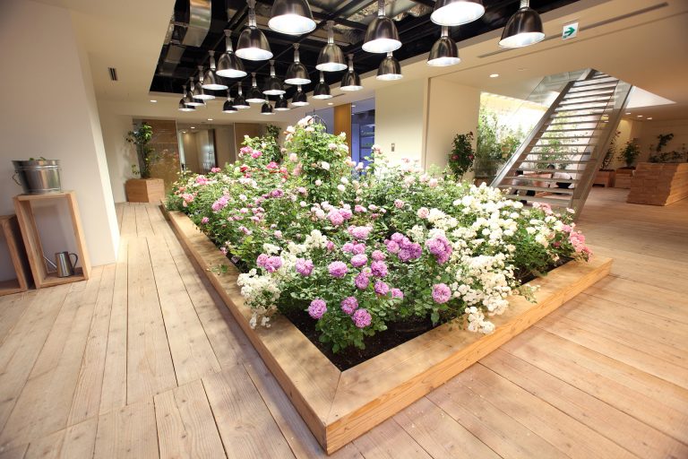 Pasona brings agriculture to the city in Tokyo | Assemble Papers