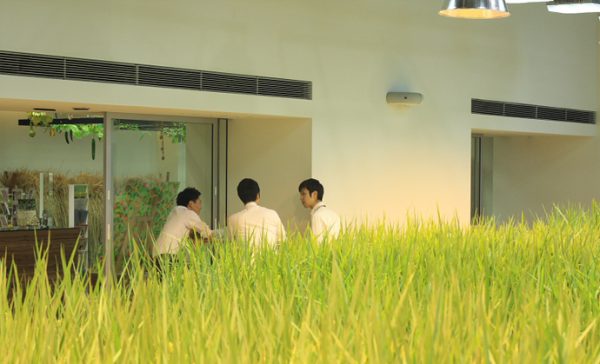 Pasona brings agriculture to the city in Tokyo | Assemble Papers