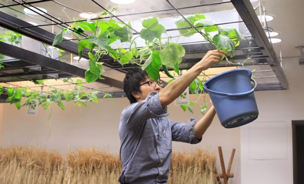 Pasona brings agriculture to the city in Tokyo | Assemble Papers