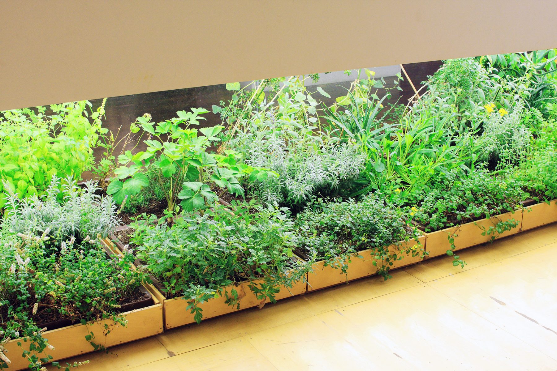 Pasona brings agriculture to the city in Tokyo | Assemble Papers