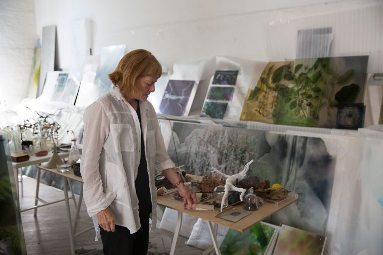 Feminism, gardening and extinction with Janet Laurence | Assemble Papers