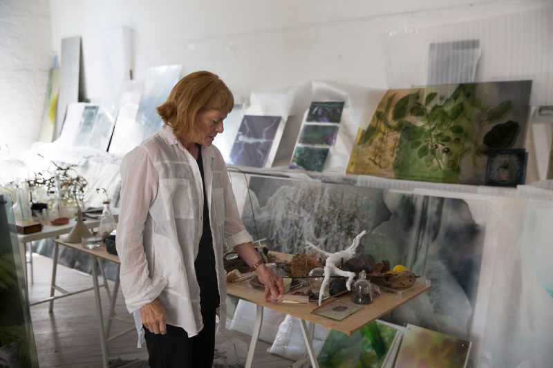 Feminism, gardening and extinction with Janet Laurence | Assemble Papers