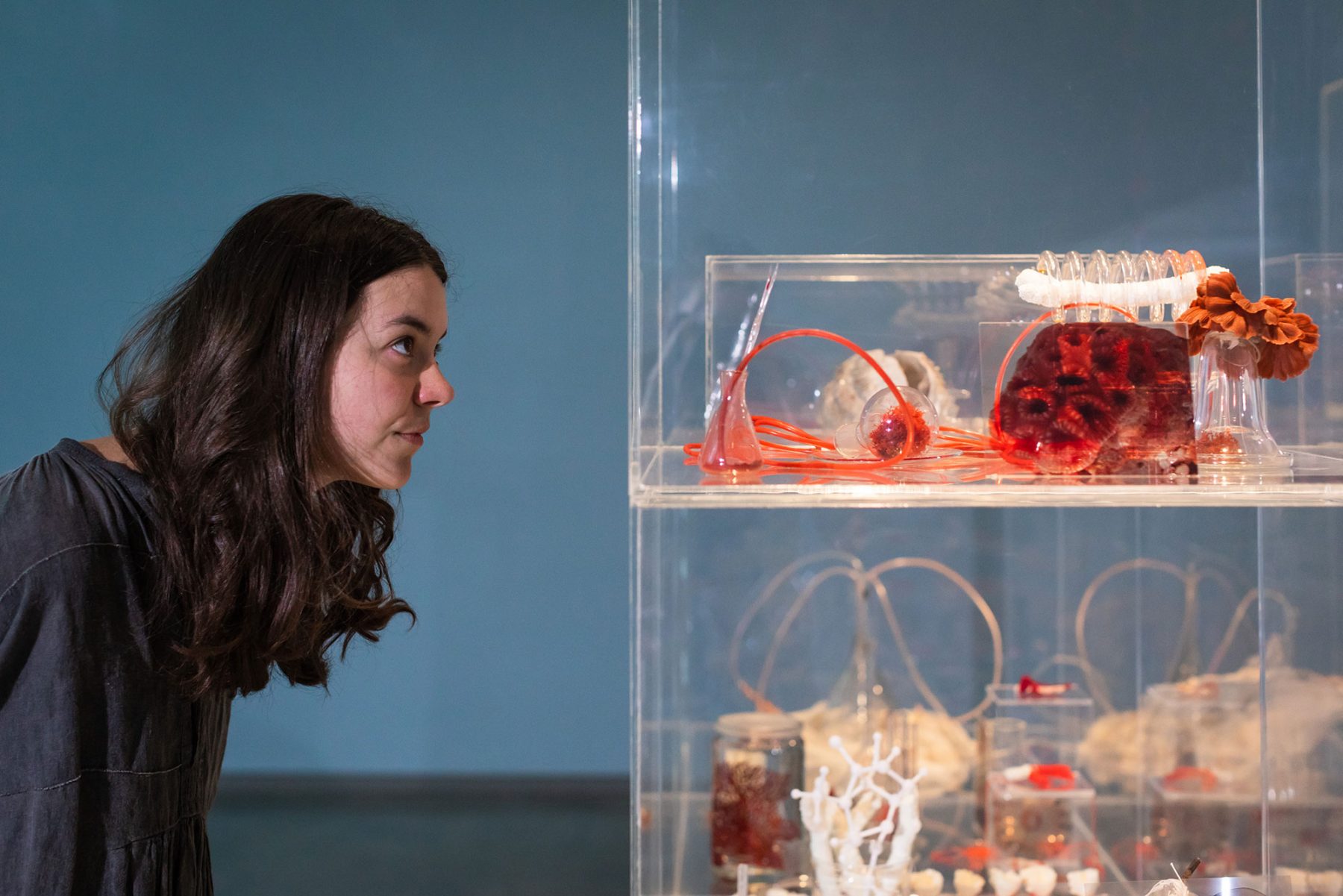 Feminism, gardening and extinction with Janet Laurence | Assemble Papers