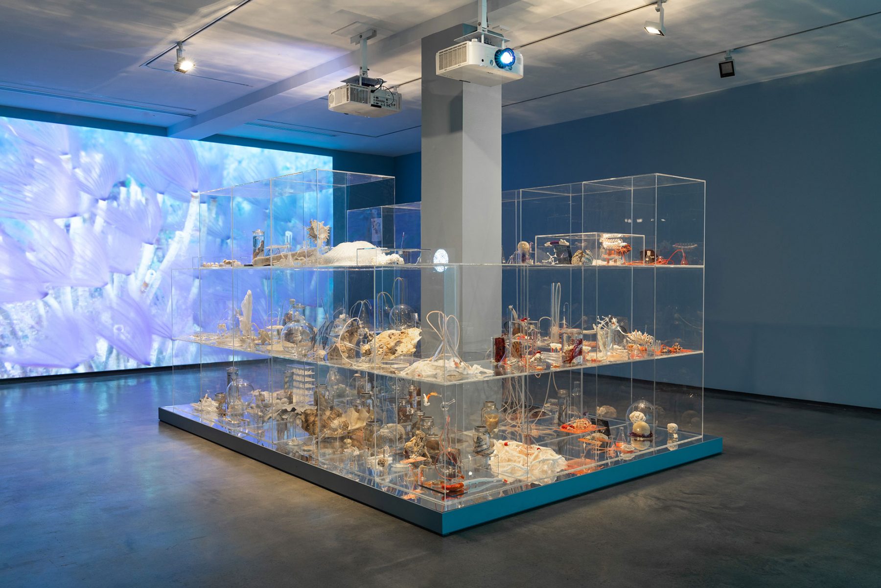 Feminism, gardening and extinction with Janet Laurence | Assemble Papers