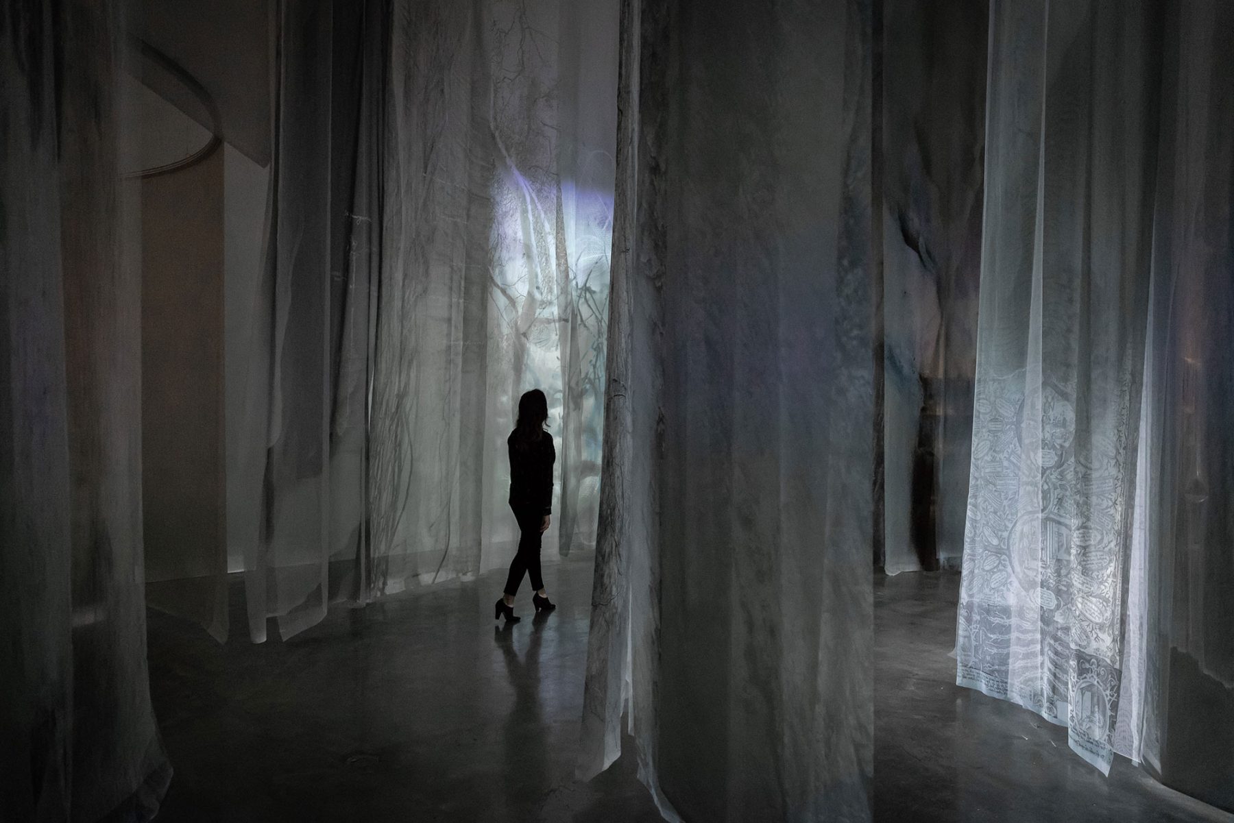 Janet Laurence: Empathy for Fragile Creatures | Assemble Papers