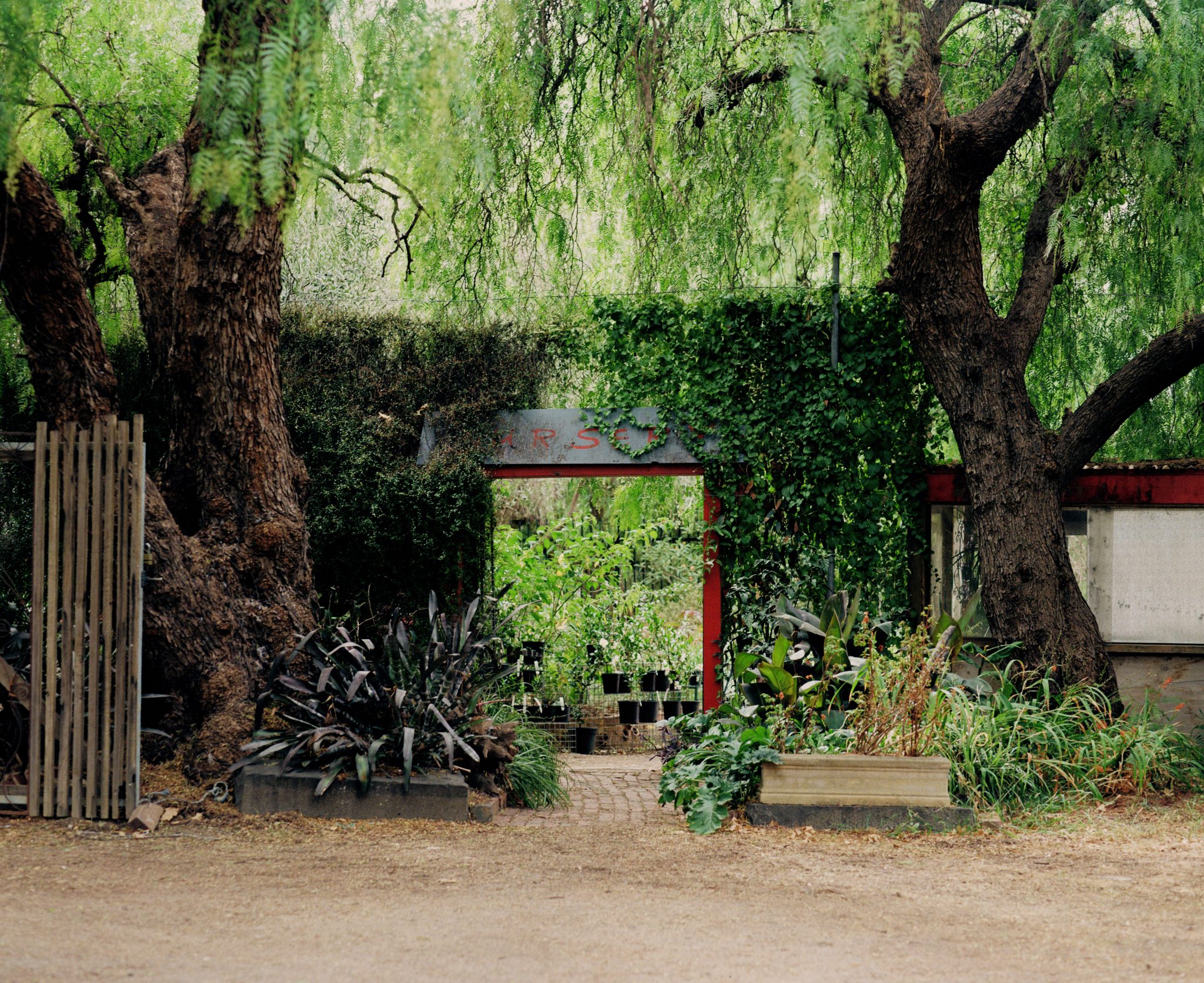 How Narrm’s community gardens are making local produce accessible ...